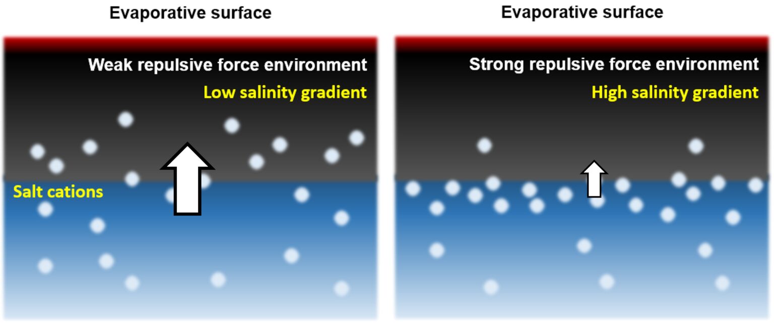 Solar Desalination for Electricity Generation: An Integrated ...